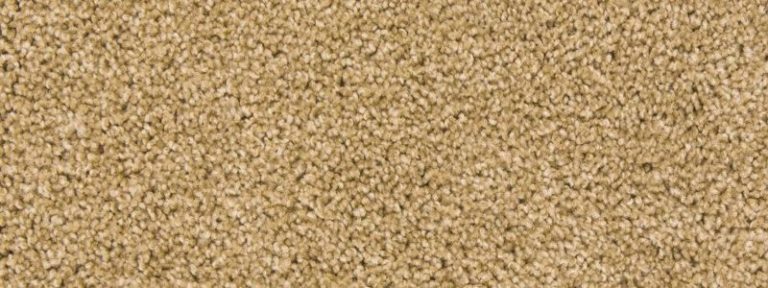 Empire Today Carpet Flooring Reviews 2025