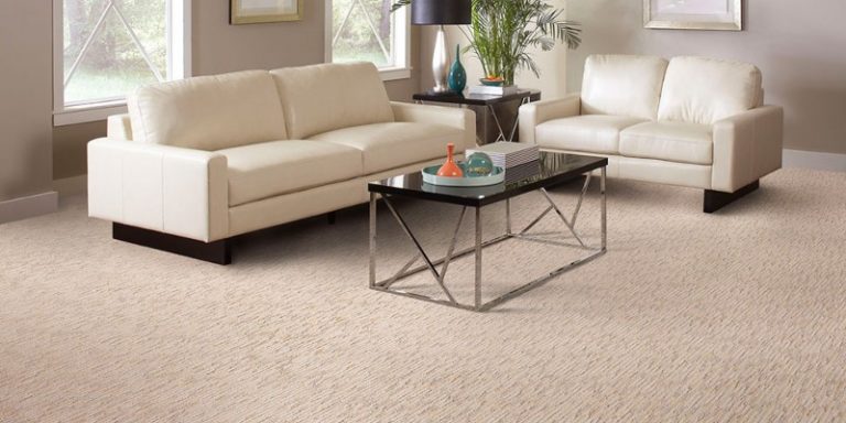 Dixie Home Carpet Reviews and Prices 2024