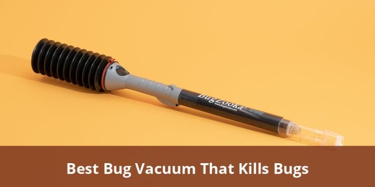 Best Bug Vacuum That Kills Bugs: Top Insect Catchers and Pest Control ...