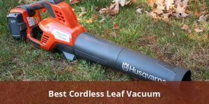 Best Cordless Leaf Vacuum: Top 6 Efficient Blower & Mulcher Picks 2025